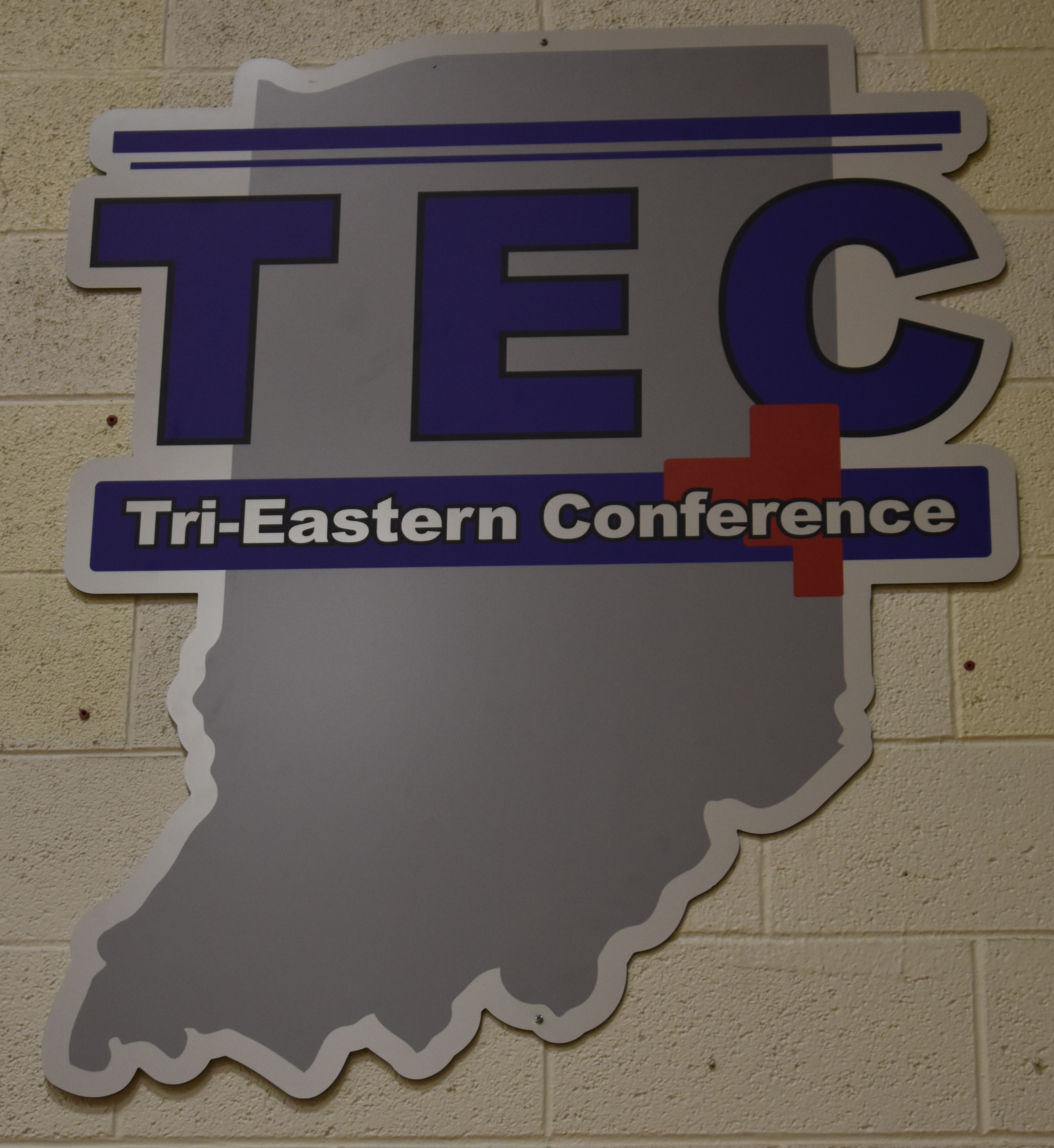 TEC Volleyball Players Honored by Coaches – Press Room Pass